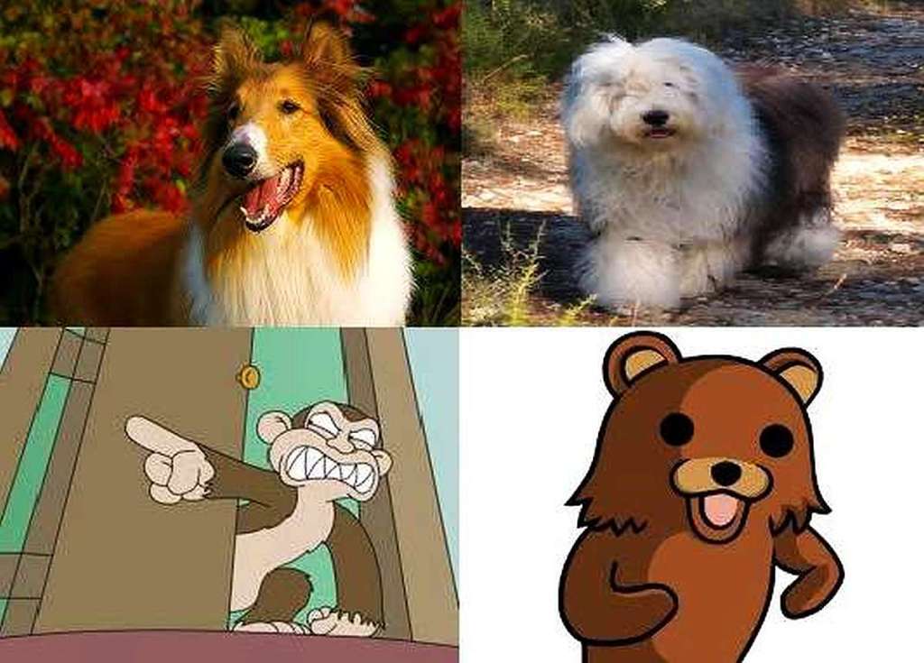 Anuncios japoneses: El perro de Consome Panchi – Viviendo Japón, sus ...