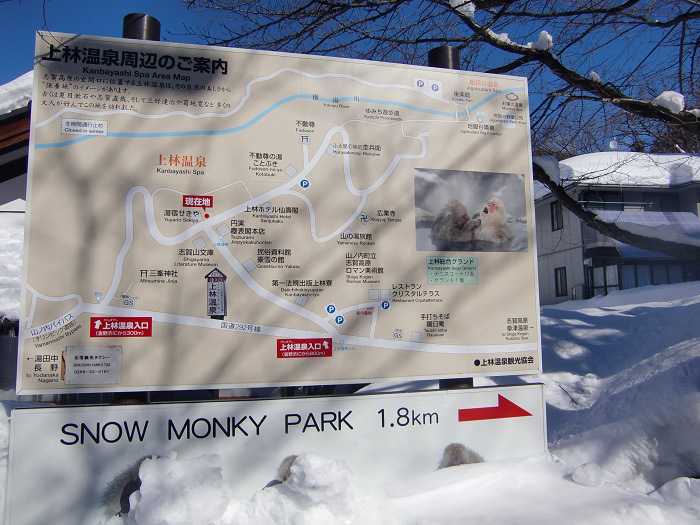 Excursión a Jigokudani Snow Monkey Park (Nagano). – Viviendo Japón, sus ...
